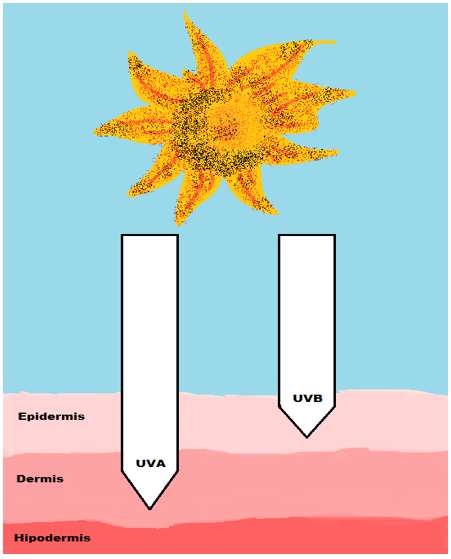 ¿Qué son los Rayos Ultravioleta? ~ INSIGHT-OK