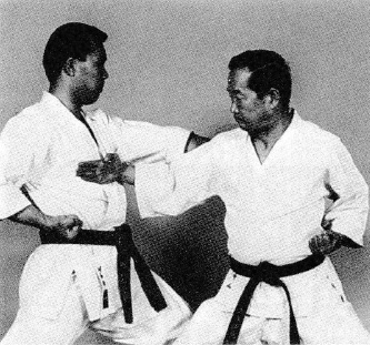 Karate Shotokan: Especial 'O Melhor do Karate': Tipos de mãos abertas ...