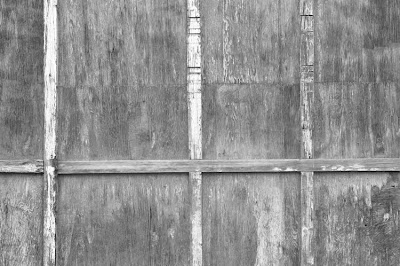 travis markel [photographer]