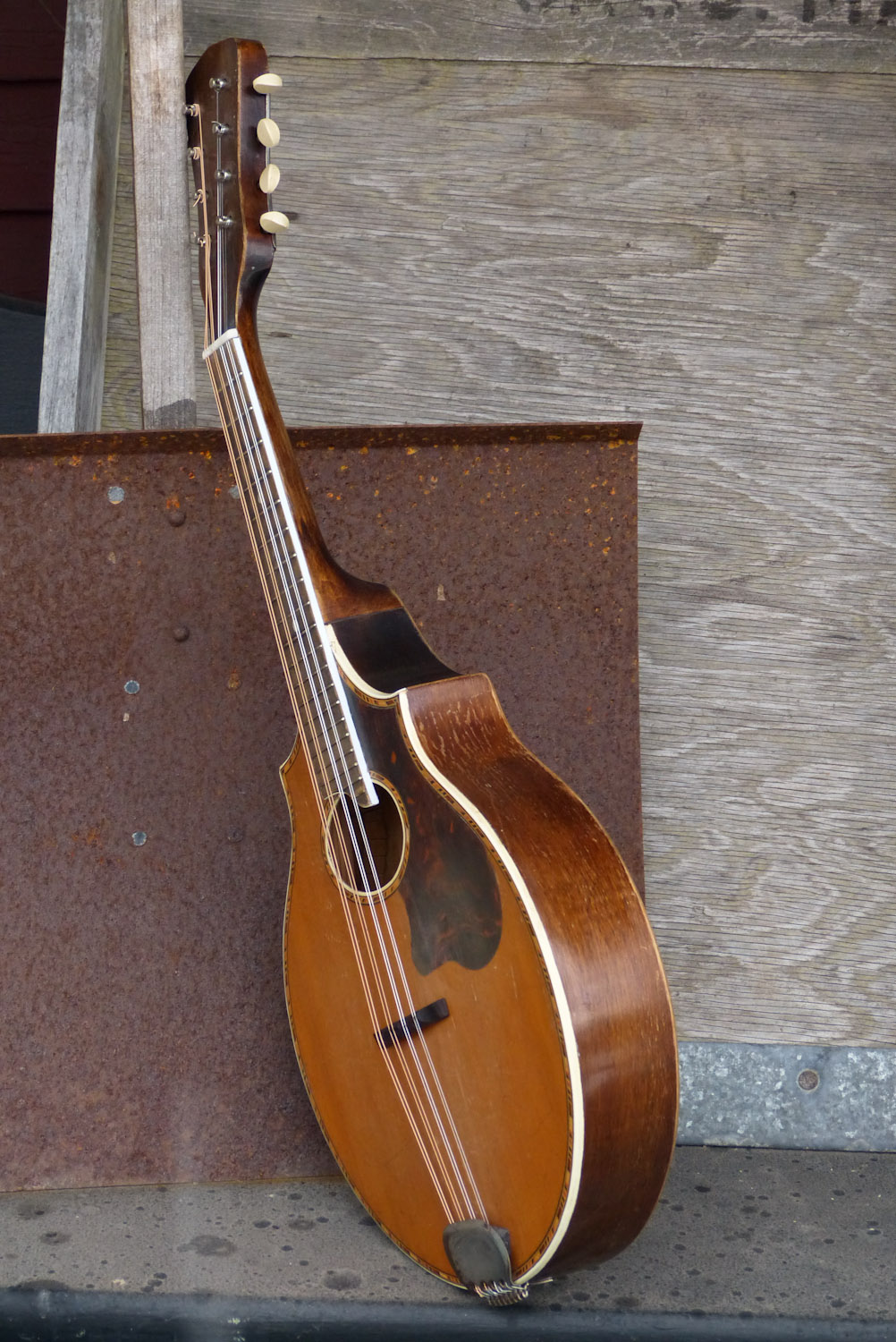 1920s Regal-made Two-Point Flatback Mandolin