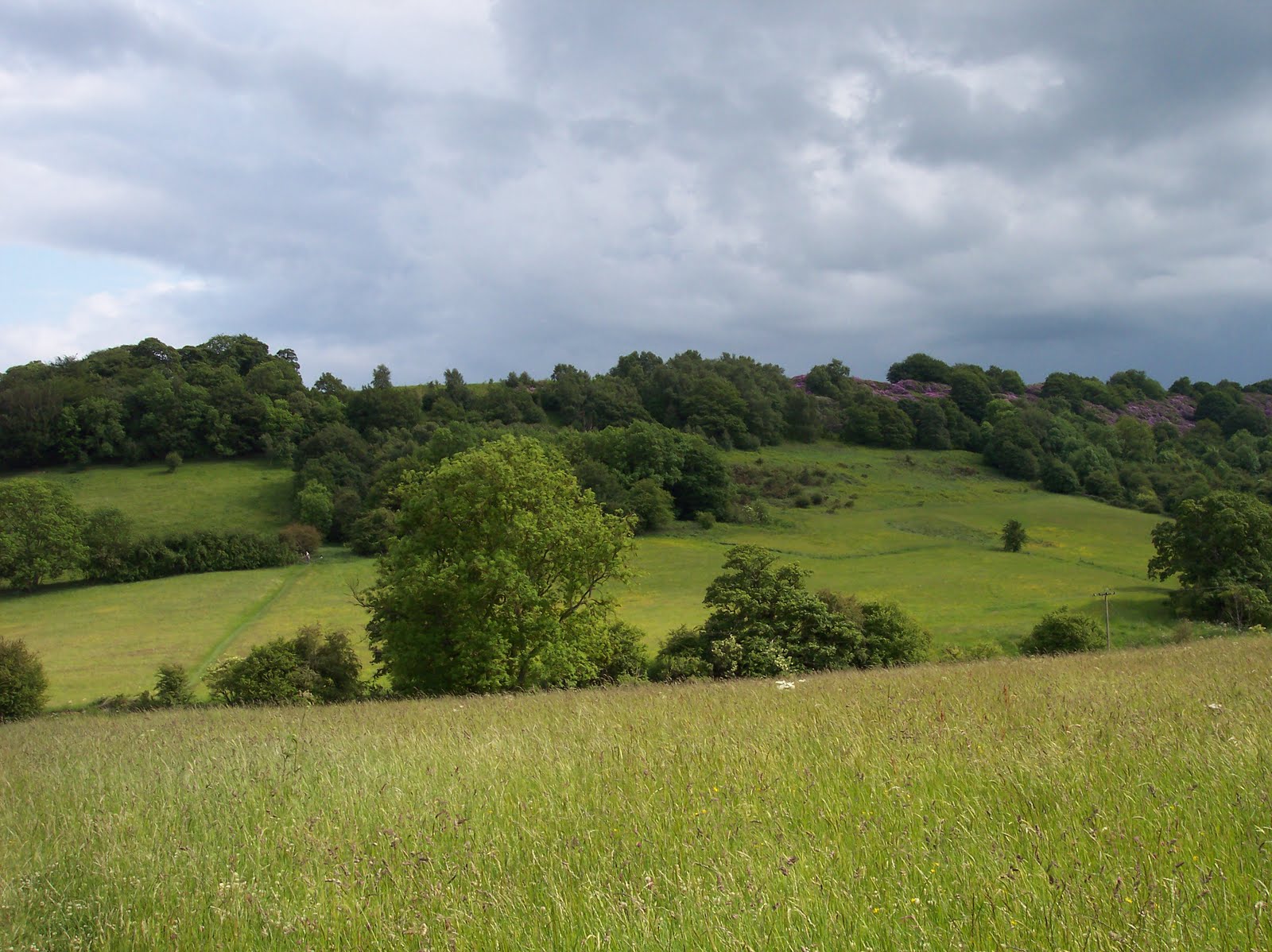 Endurance Adventures: The Baslow Boot Bash- Event Report