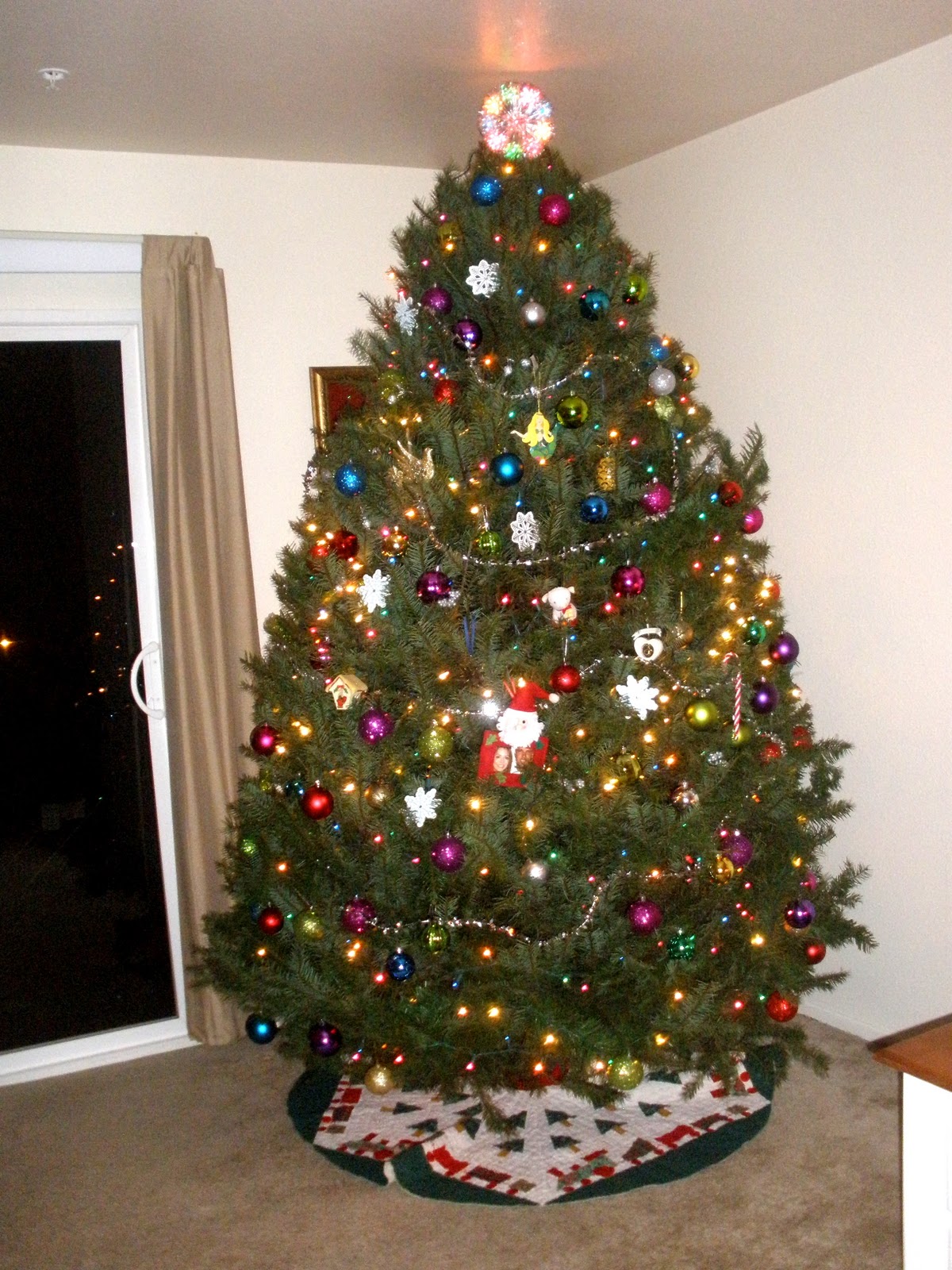 The Christensen's Camelot : I Give You The Christensen Family Christmas ...