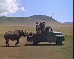 in so many words...: Tuesday's Forgotten (or Overlooked) Film: HATARI ...