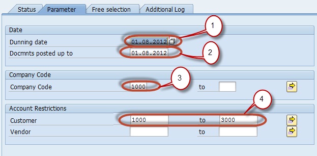SAP FICO Central: How To Perform Dunning