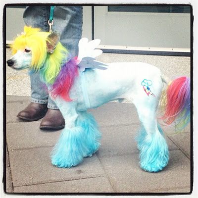 My Little Pony/Dog