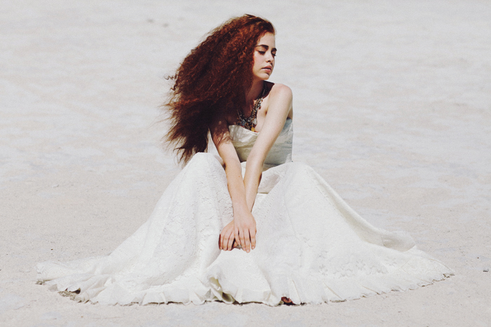 glittering heads dream.: golden bird of the sun.