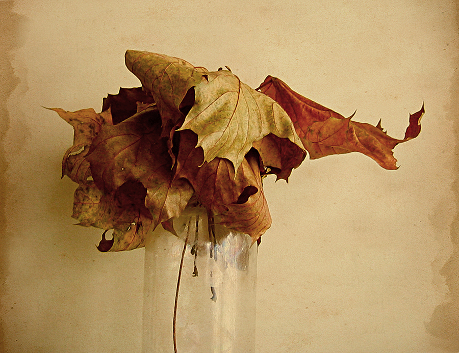 Invisible Notes Bouquet invisible-notes-bouquet