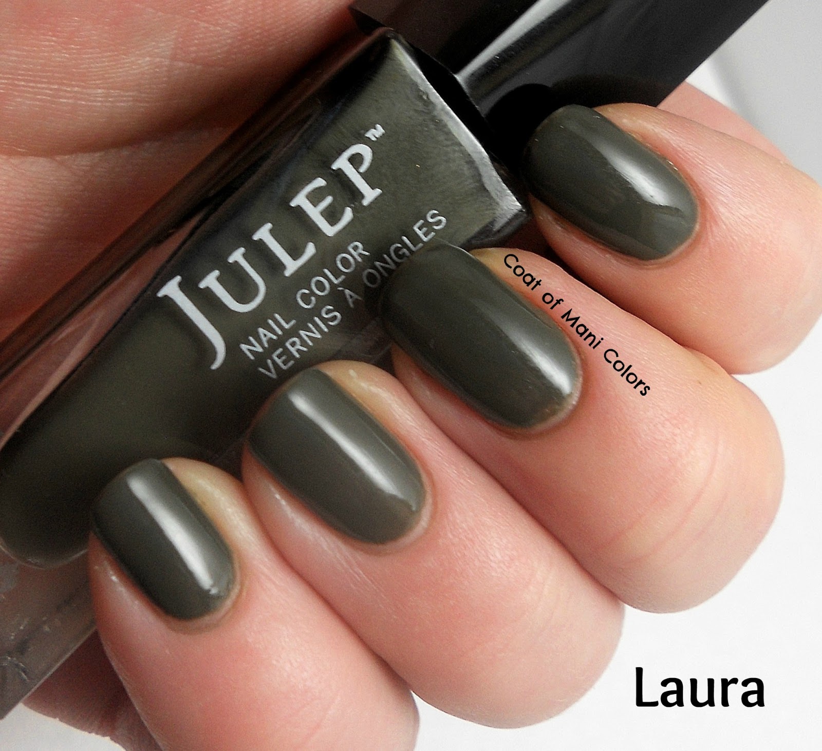 Coat of Mani Colors: My first swatch-a-palooza with Julep!