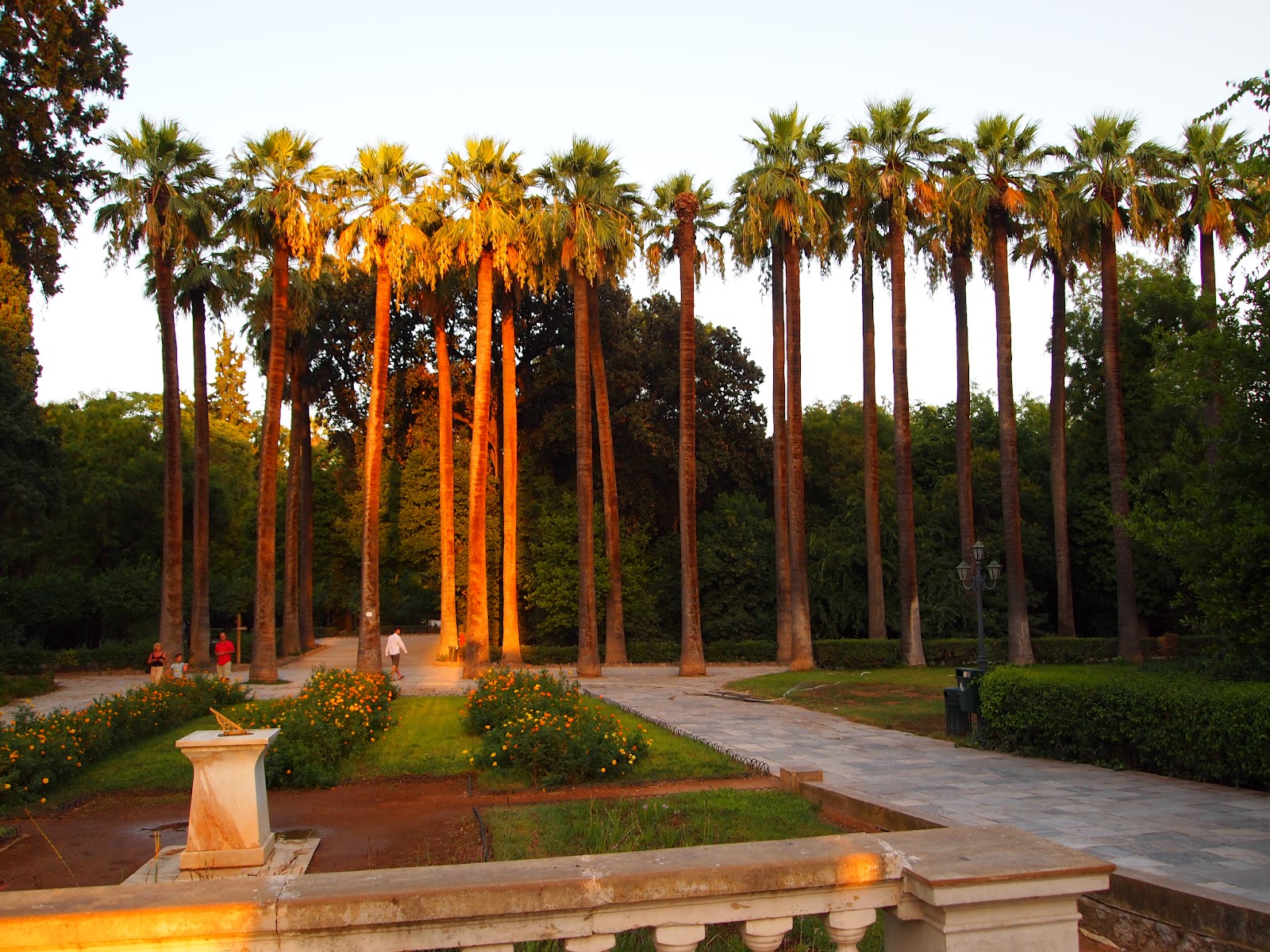 Work and Travel Grecia: Giant palm trees at the entrance to the ...