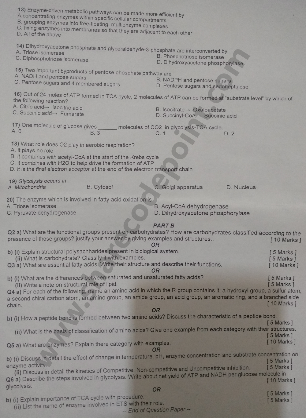BTY105 : Fundamentals of Biochemistry End Term Exam Question Paper ...