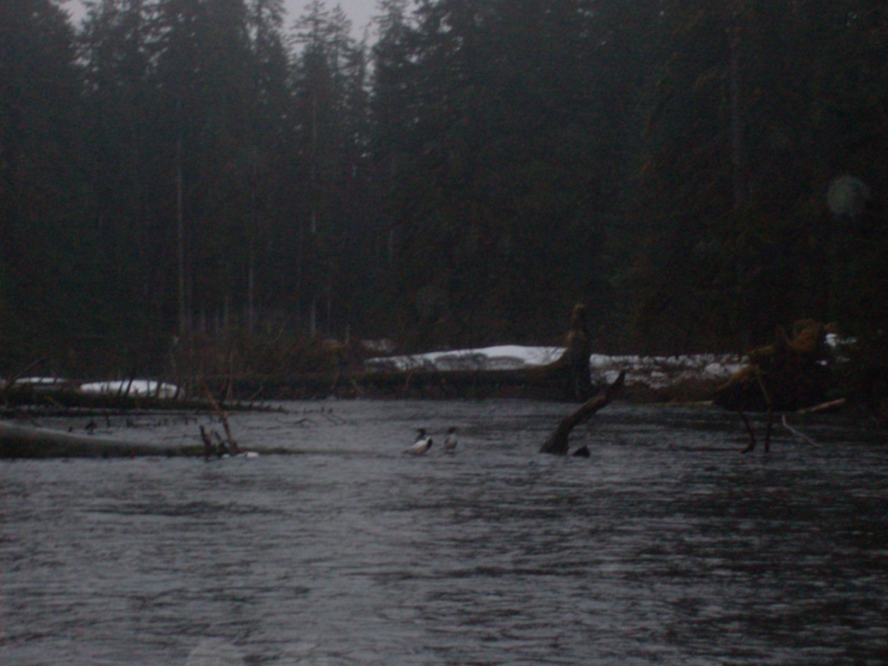 Situk River in Alaska- Guide Gil Muhleman's Visit | Water Time Outfitters