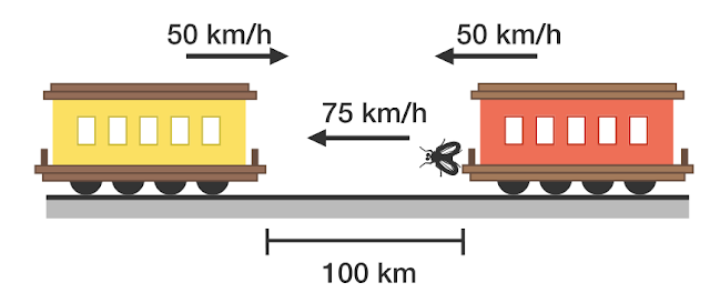 Puzzles and Figures: Problem 92: Two trains and a fly