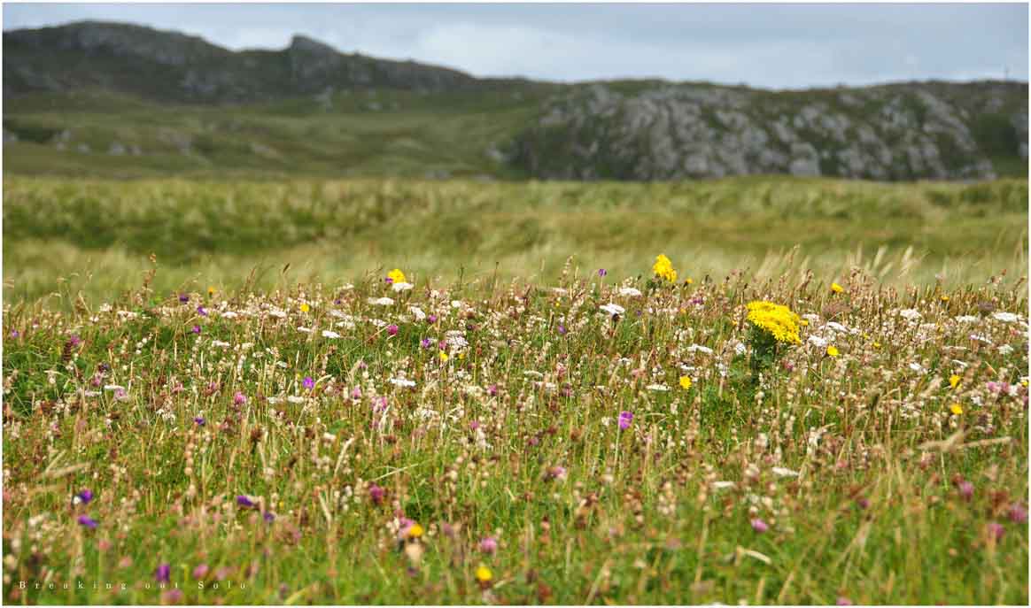 Breaking Out Solo: A Day on the Isle of Coll