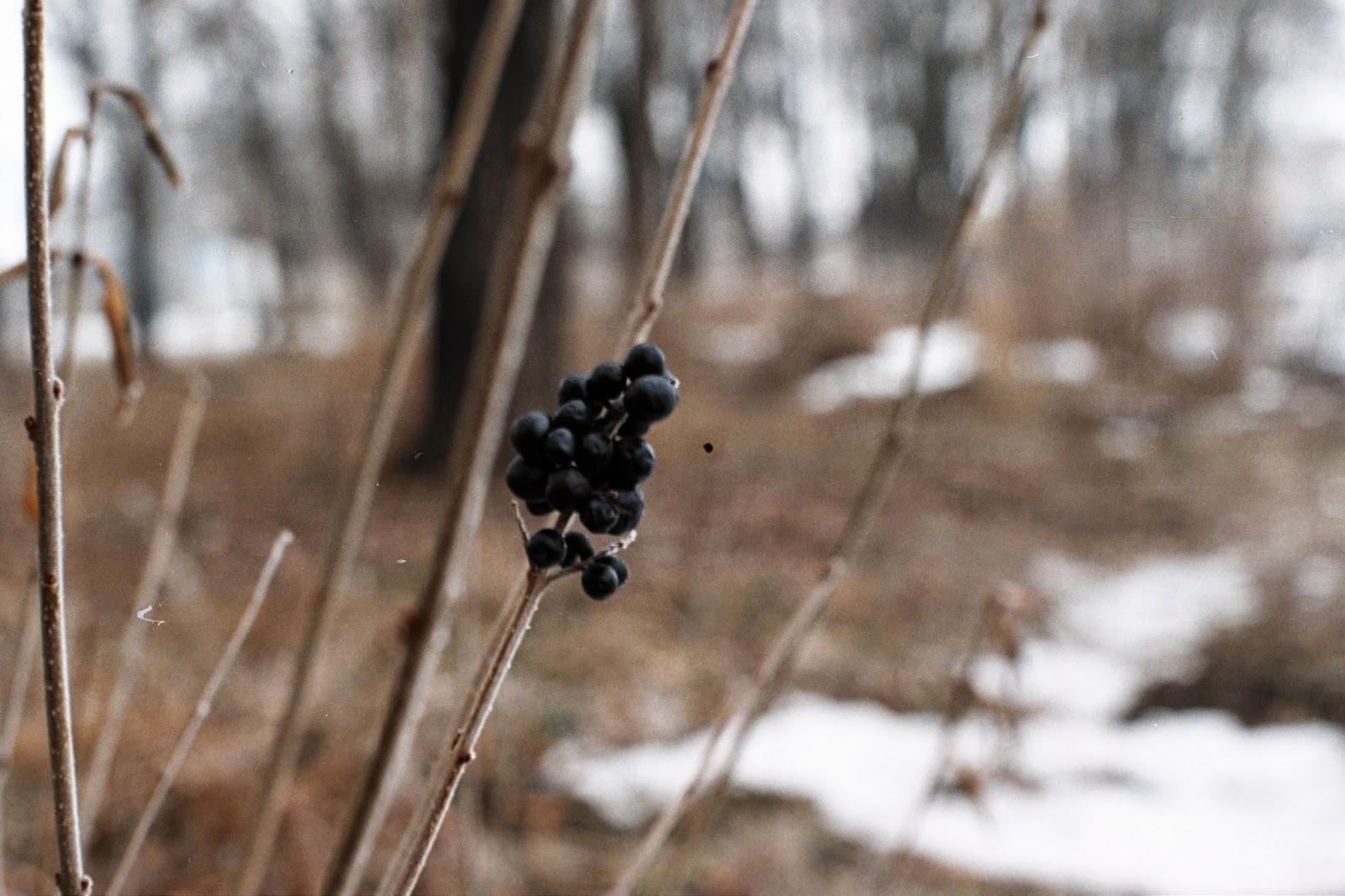 Sonjachni photography / С О Н Я Ч Н І : Must visit: Kolomyia
