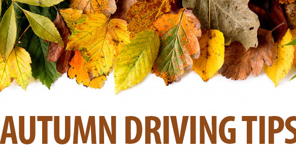 Towing Tips and Techniques: Autumn Safety for Commercial Drivers