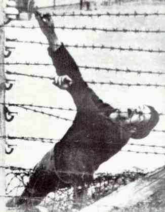 la historia de hitler: la vida de hitler