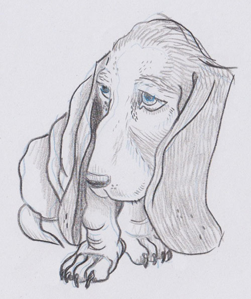 animalsleepstories: droopy hound dog drawing