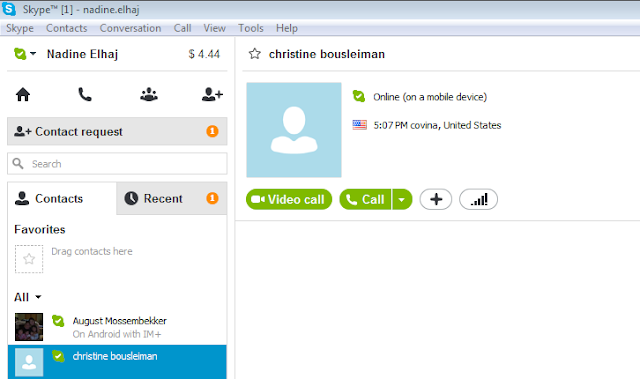 Useful Information About Skype