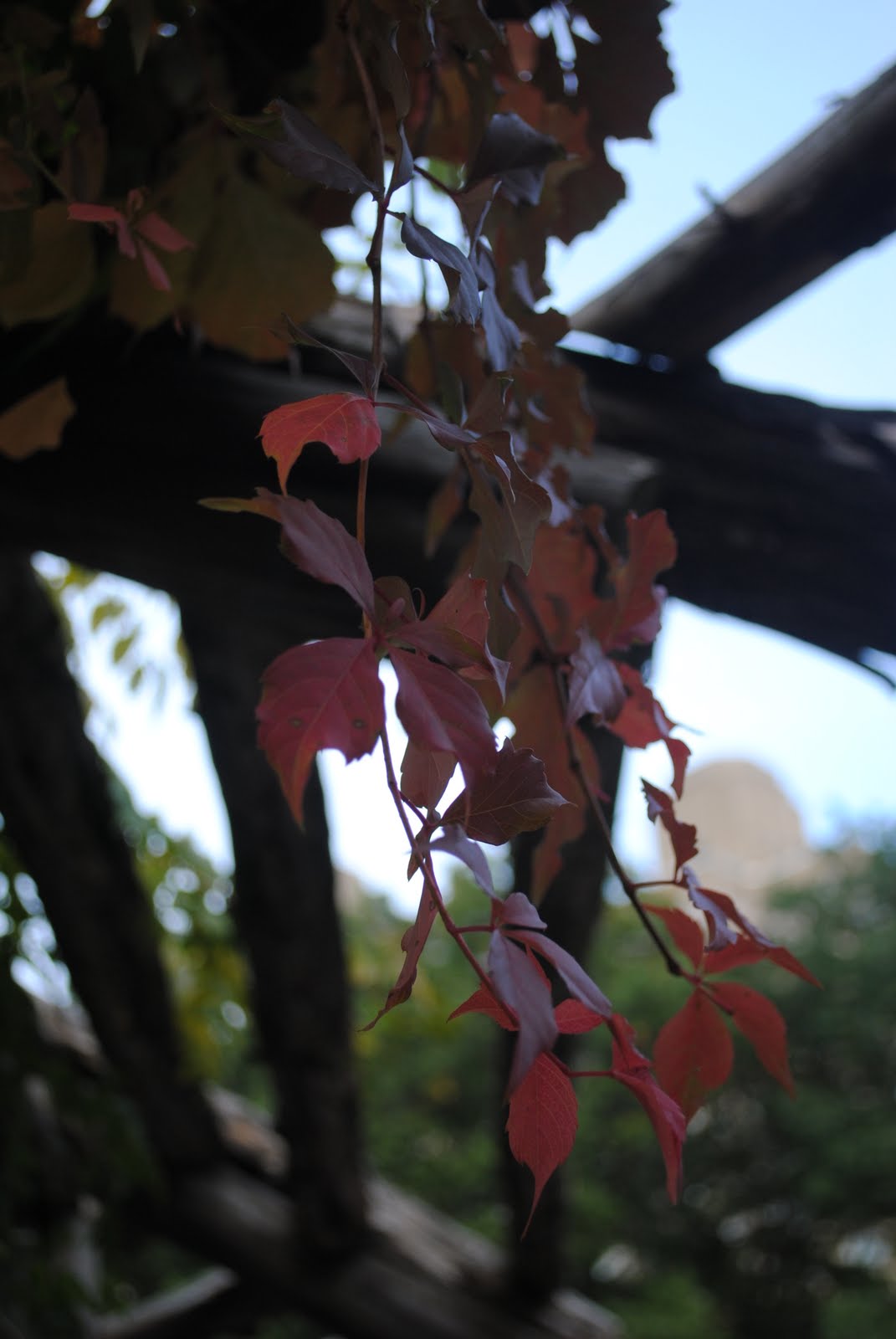 Anthony Stratis Designs in the making