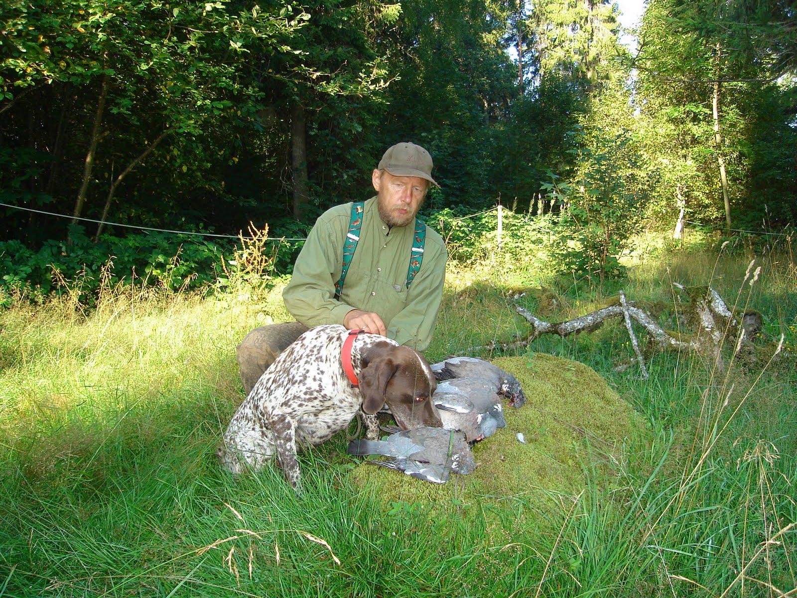Kennel Jäljekütt: august 2011