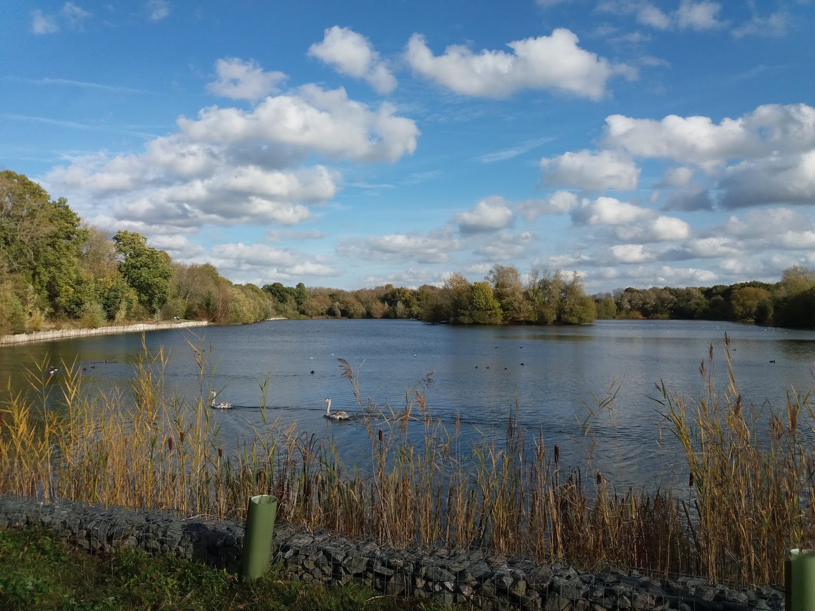 Paul's Beer & Travel Blog: Haysden Country Park