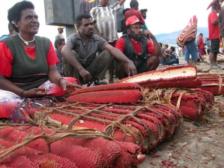 PNPM Mandiri Perkotaan Sorong: Khasiat Buah Merah dari Tanah Papua