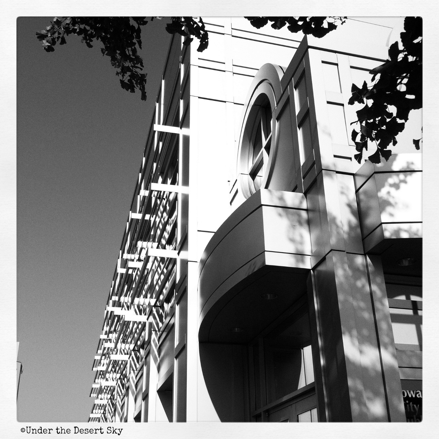 Under the Desert Sky: Iowa City Public Library
