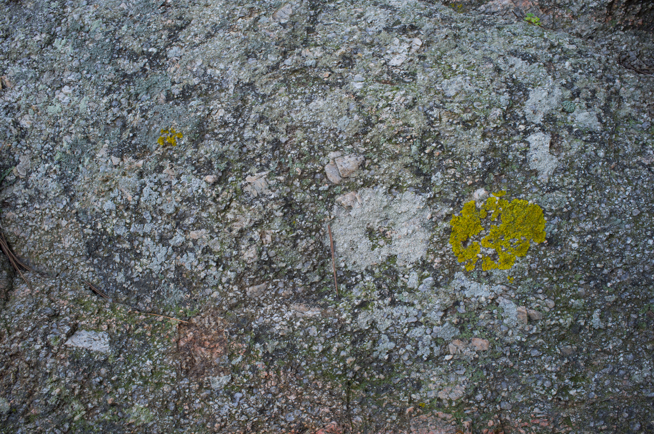 Fotografia Edurne Iza: Texturas Naturales