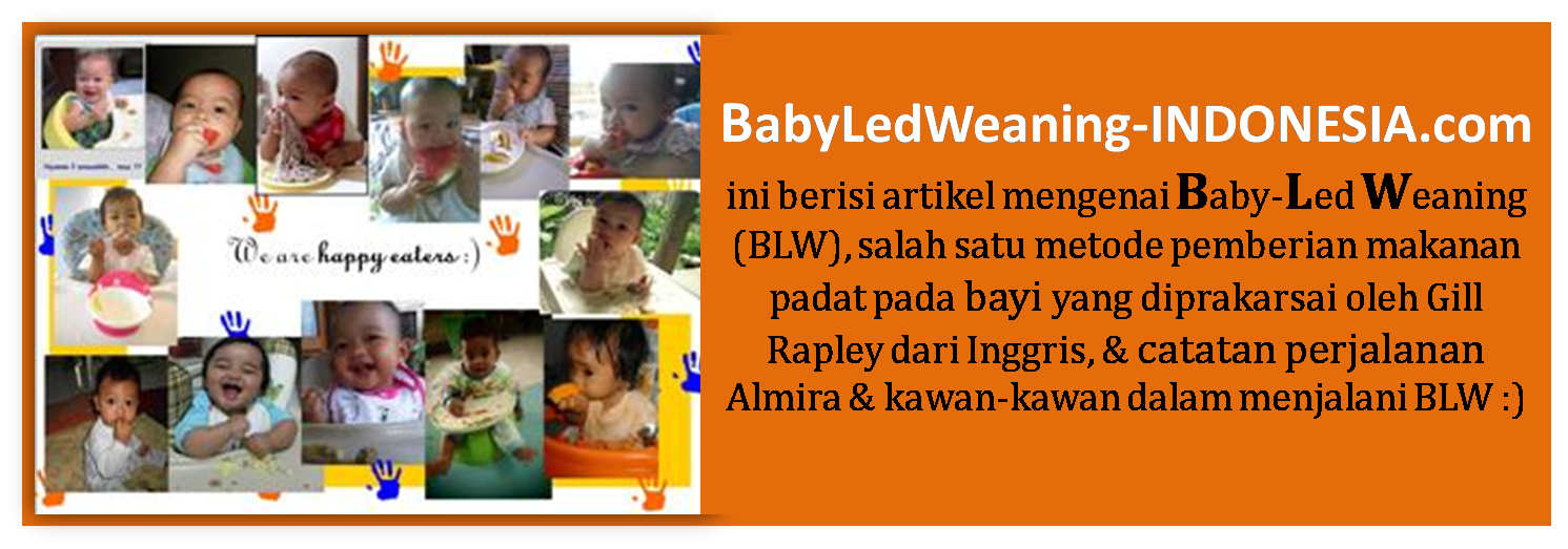 Baby-led Weaning (BLW) Indonesia: Resep Perkedel