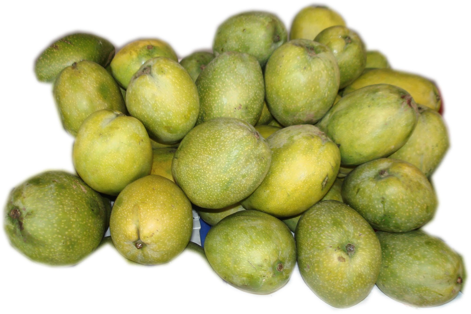 INDIAN MANGO VARIETIES