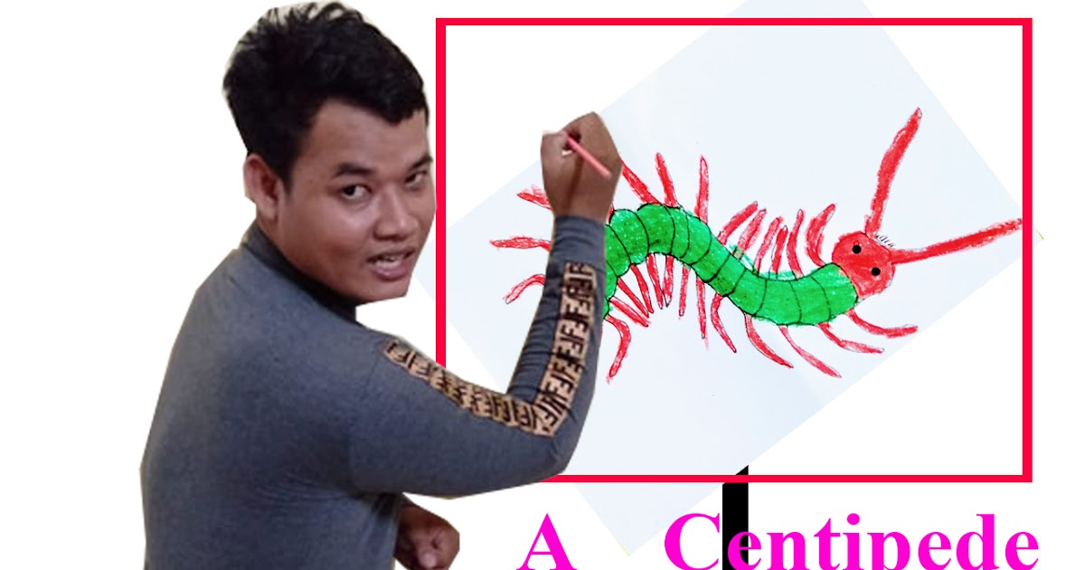 How To Draw Step By Step : How to draw step by step ,How to draw a ...