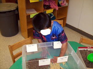 Learning and Teaching With Preschoolers: Planting and Gardening in ...