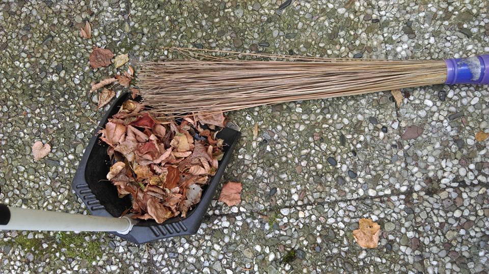 Glorious Life and Food - in Photos: Coconut, The Tree of Life: My Walis ...