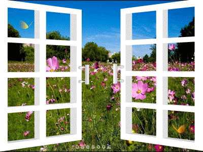 GIFS ANIMADAS ***: *** JANELA I