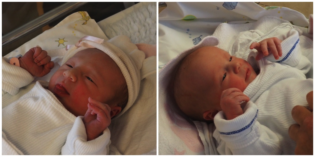 The Stingeries: Twin Tuesday: Evelyn and Olivia's Birth Story