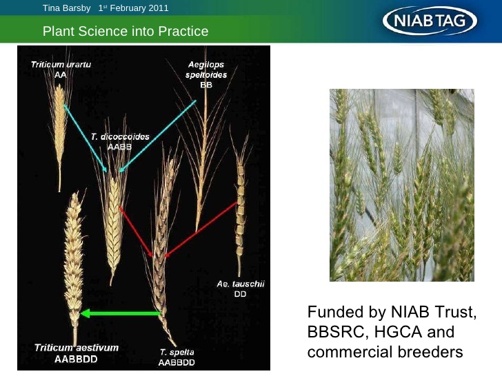 Scientia potentia est: The 50 biggest inventions and innovations that ...