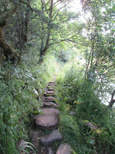 EK Walks: The Spectacle E'e Falls, Strathaven