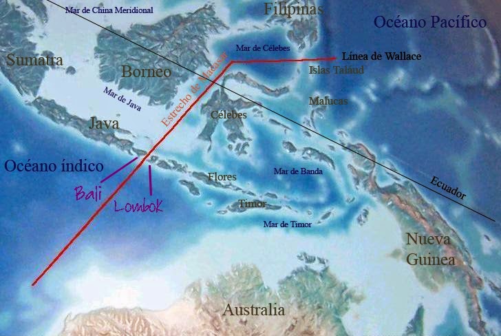 andanzas viajeras: Lombok y la Línea de Wallace