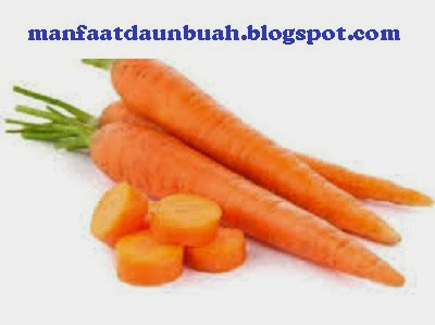 Manfaat Khasiat Wortel untuk Kesehatan Tubuh