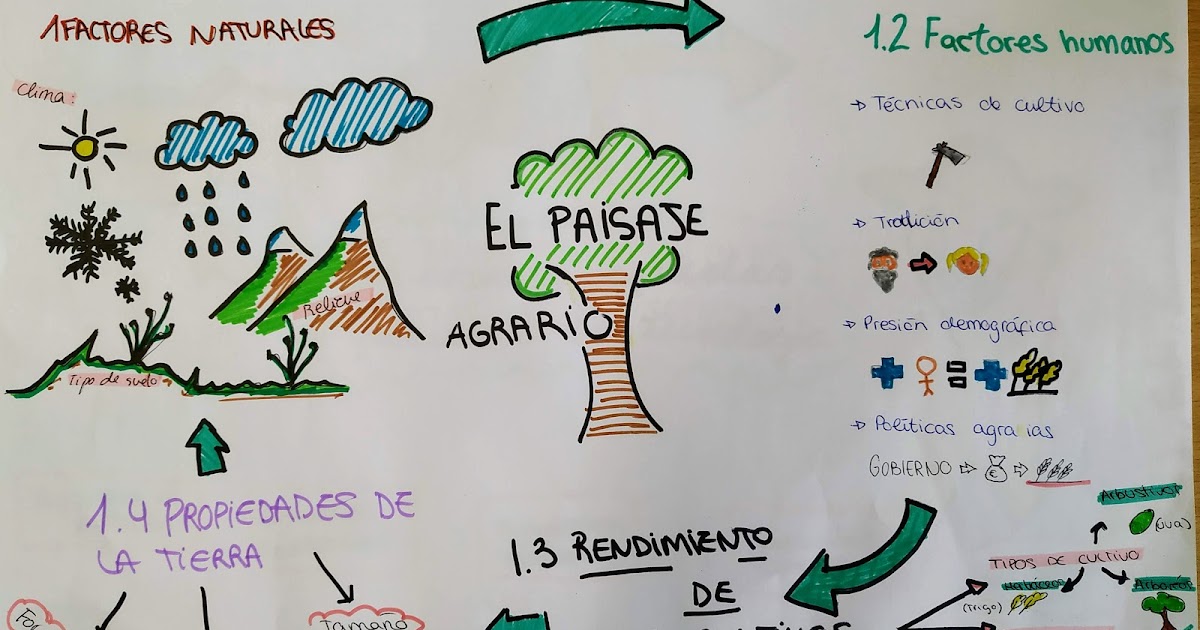 Paula Ferrando: Tema 6: El sector primario