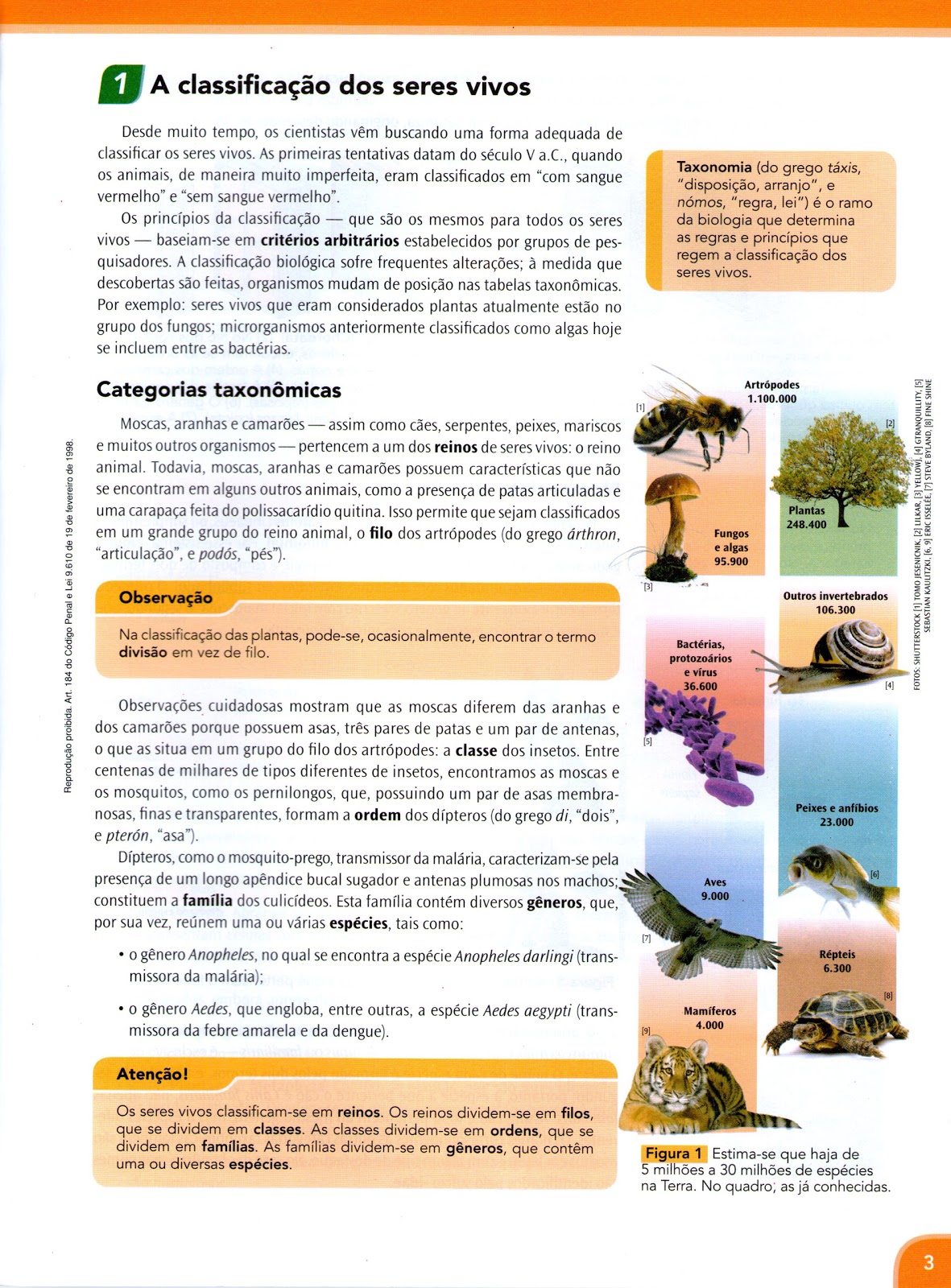 Exercícios Características Dos Seres Vivos - RETOEDU