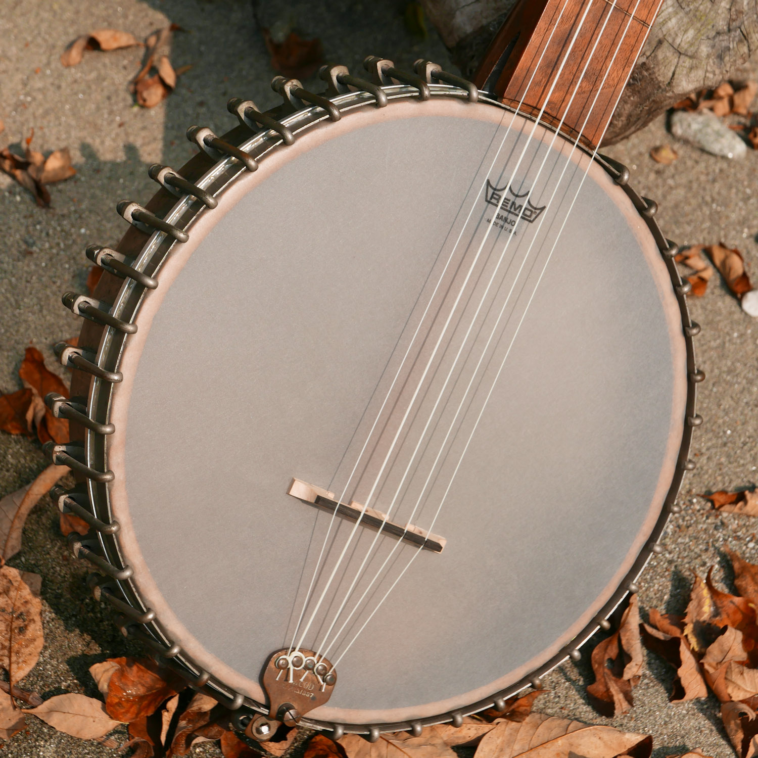 1880s Buckbee 5-String Fretless Banjo