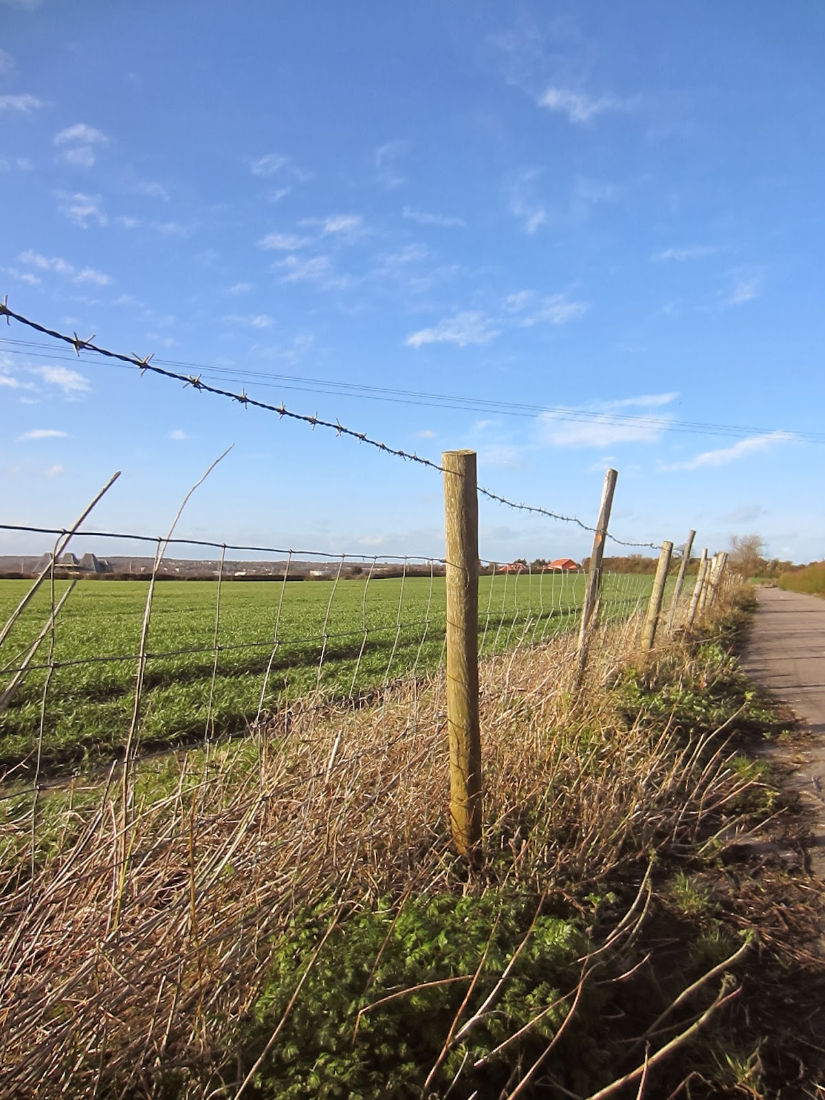 E&Eco - A Level Production: February 2014