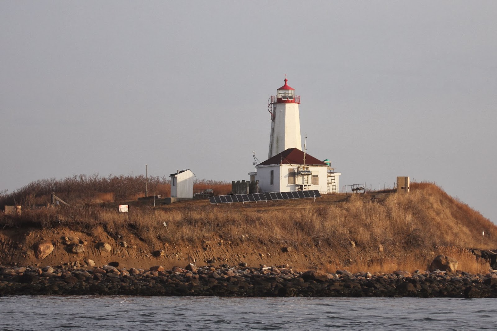 New England Coastal Birds: December (unofficial CBC) boat ride to ...
