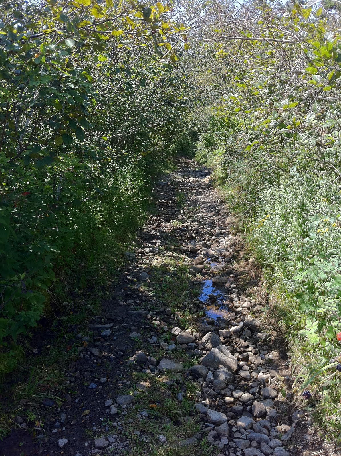 Ride the Maritimes: Digby neck and Islands