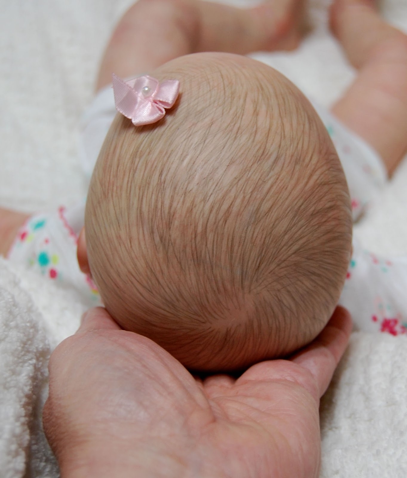 Welcome to my BLOG: 2015