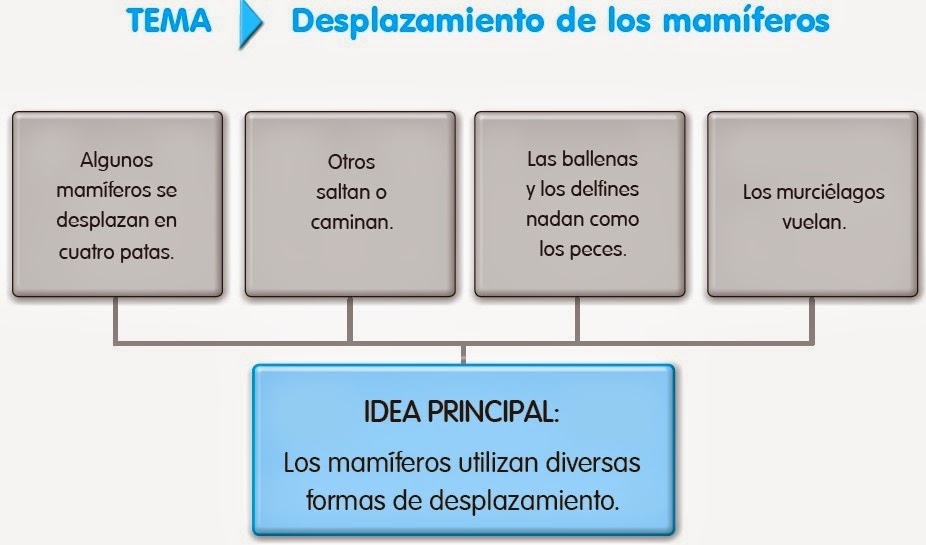 Técnicas y estrategias de comprensión lectora: IDEAS PRINCIPALES