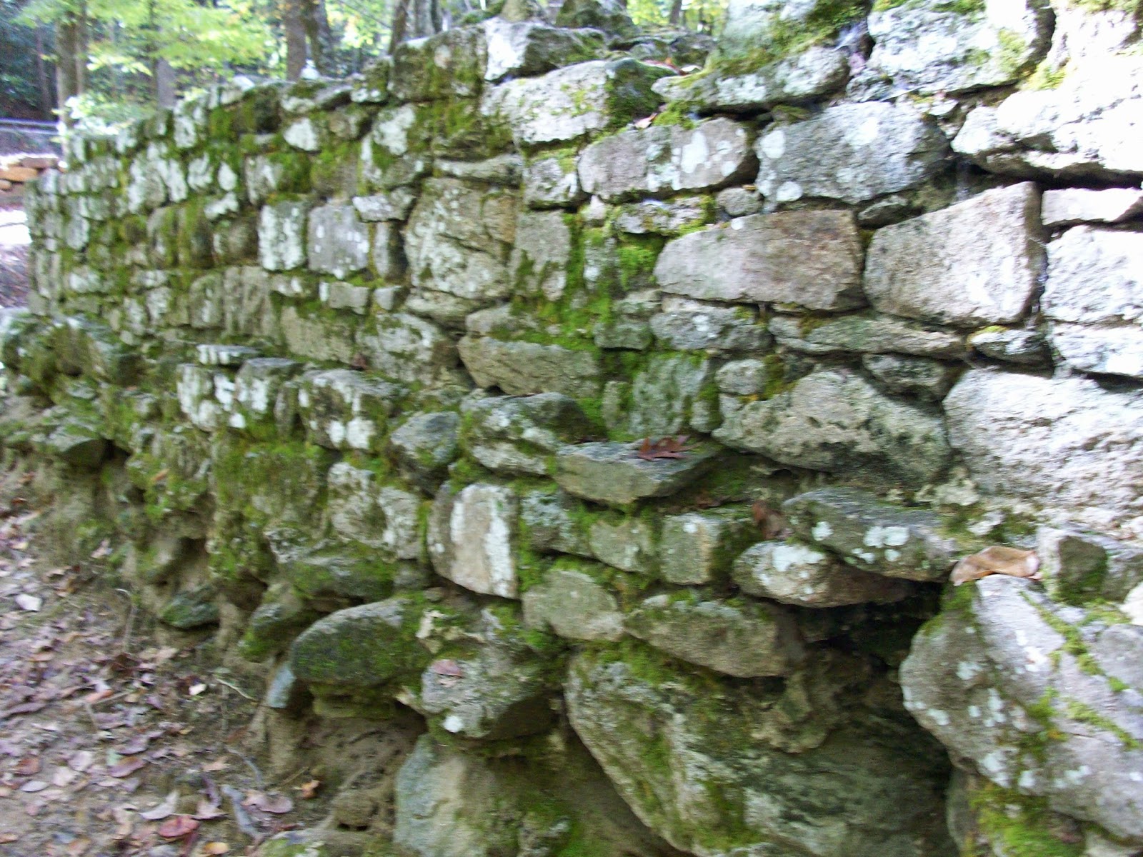 Ric's Travels: Tour of The Dark Corner in South Carolina