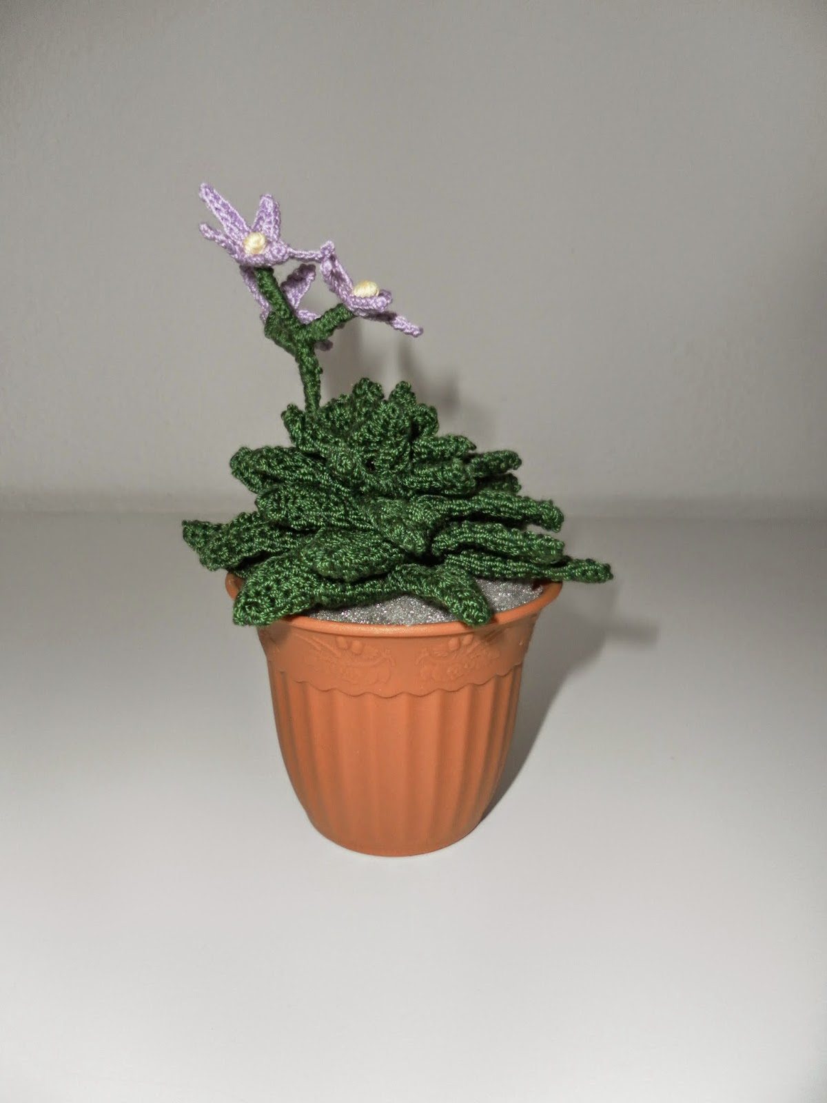 Explicación de cactus con flores de color lila