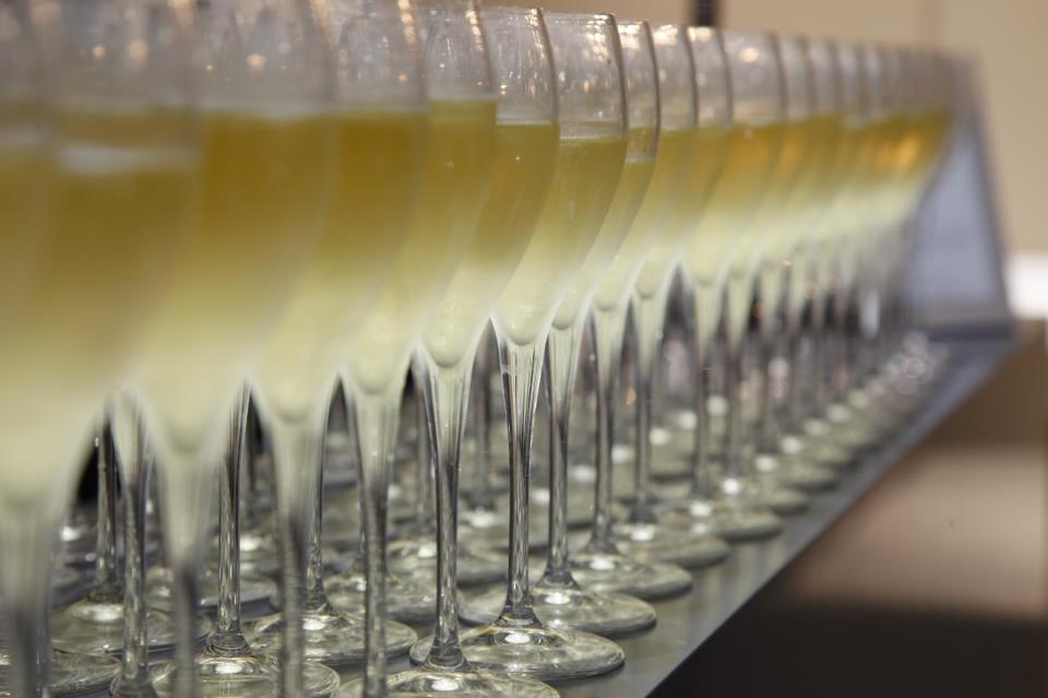 Superior Model Management : Launch of ROX Edinburgh